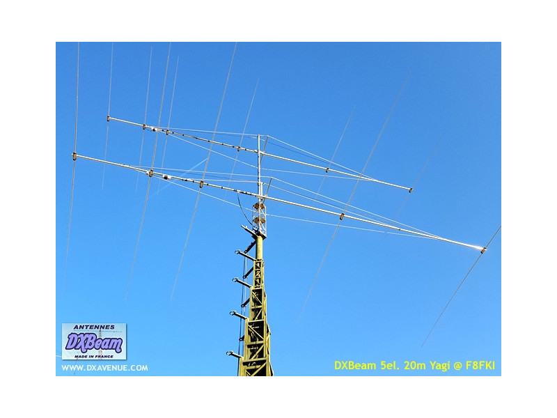 5 el. 20m Yagi