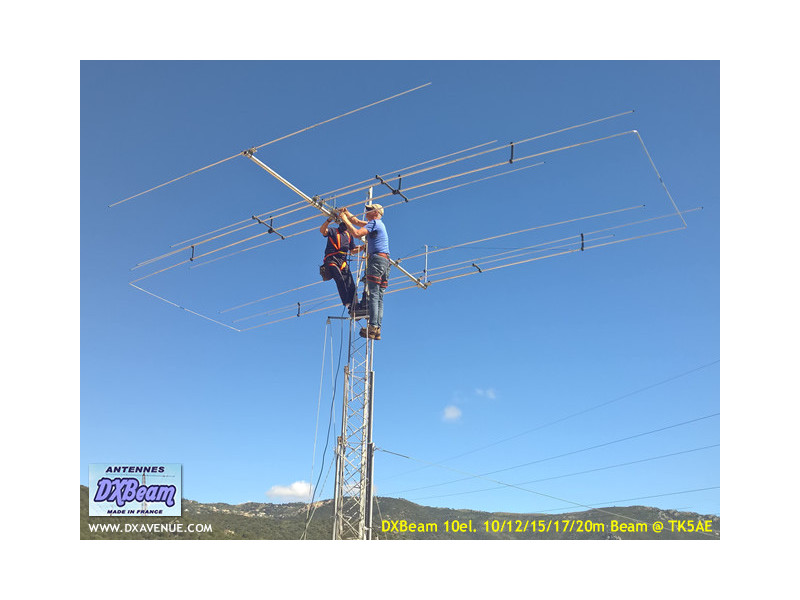 10 él. 20/17/15/12/10m Moxon/Yagi