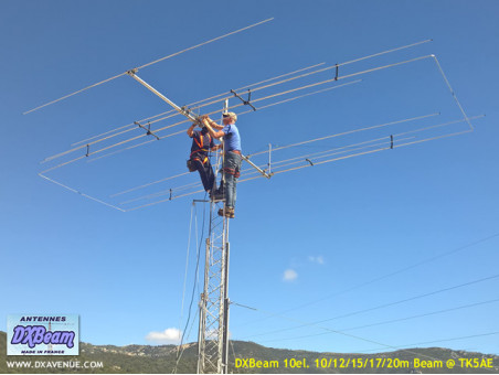 10 él. 20/17/15/12/10m Moxon/Yagi