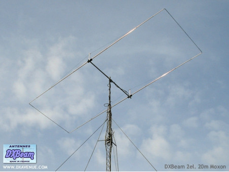 2 el. 20m Moxon