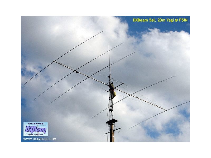 5 el. 20m Yagi